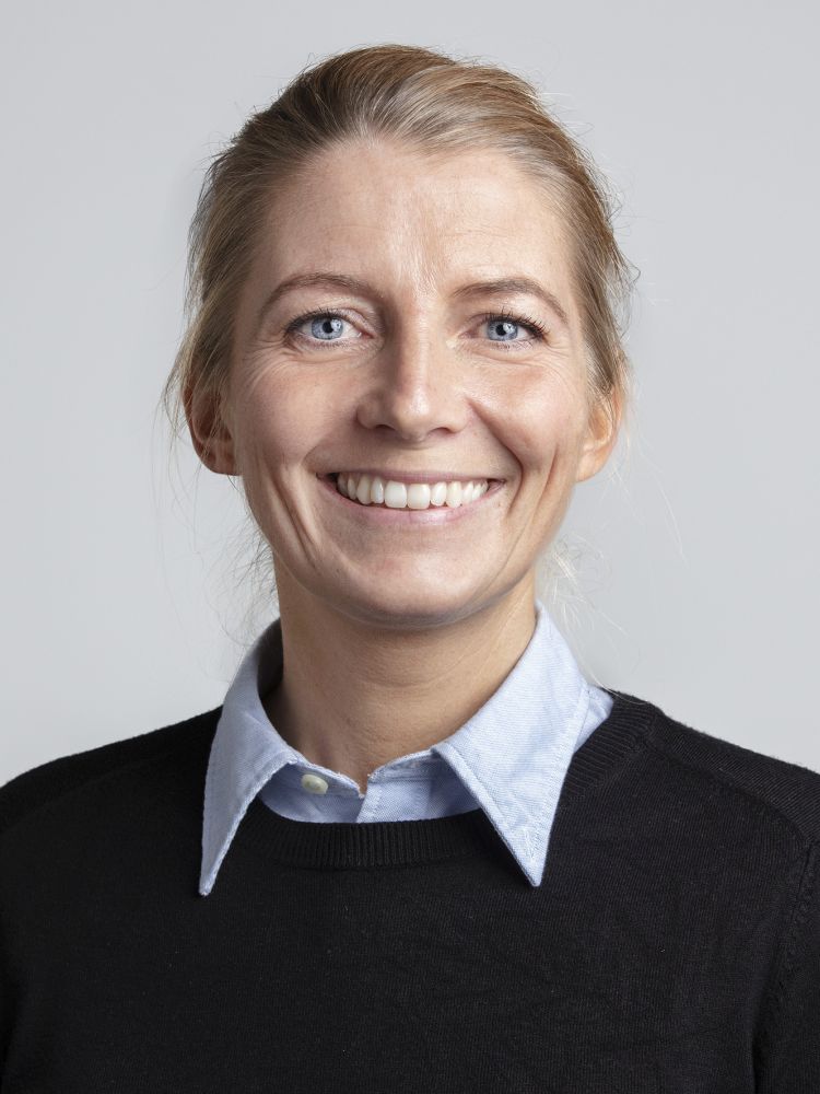 Nyt navn i Hans Følsgaards Greentech-division - ElektronikFOKUS